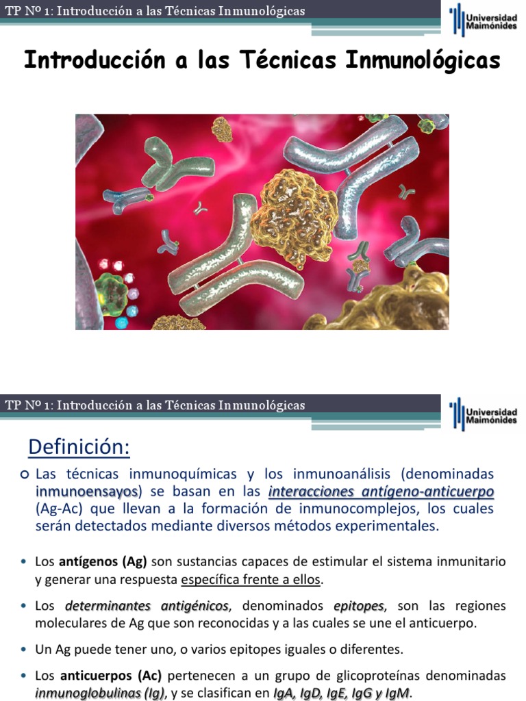TP1 Introducción A Las Técnicas Inmunológicas - Maimónides 2019 | PDF ...