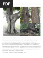 GNM Chart | PDF | Neck | Thyroid