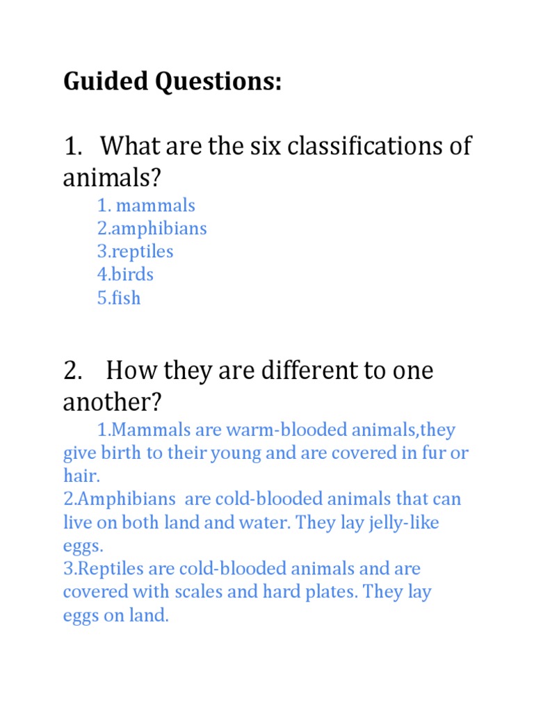 (Template) M3 - Guided Questions | PDF | Home & Garden | Wellness