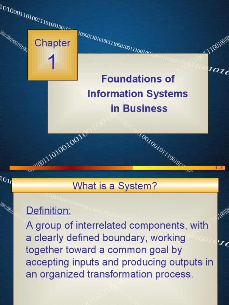 Foundations of Information Systems in Business | PDF | Information ...