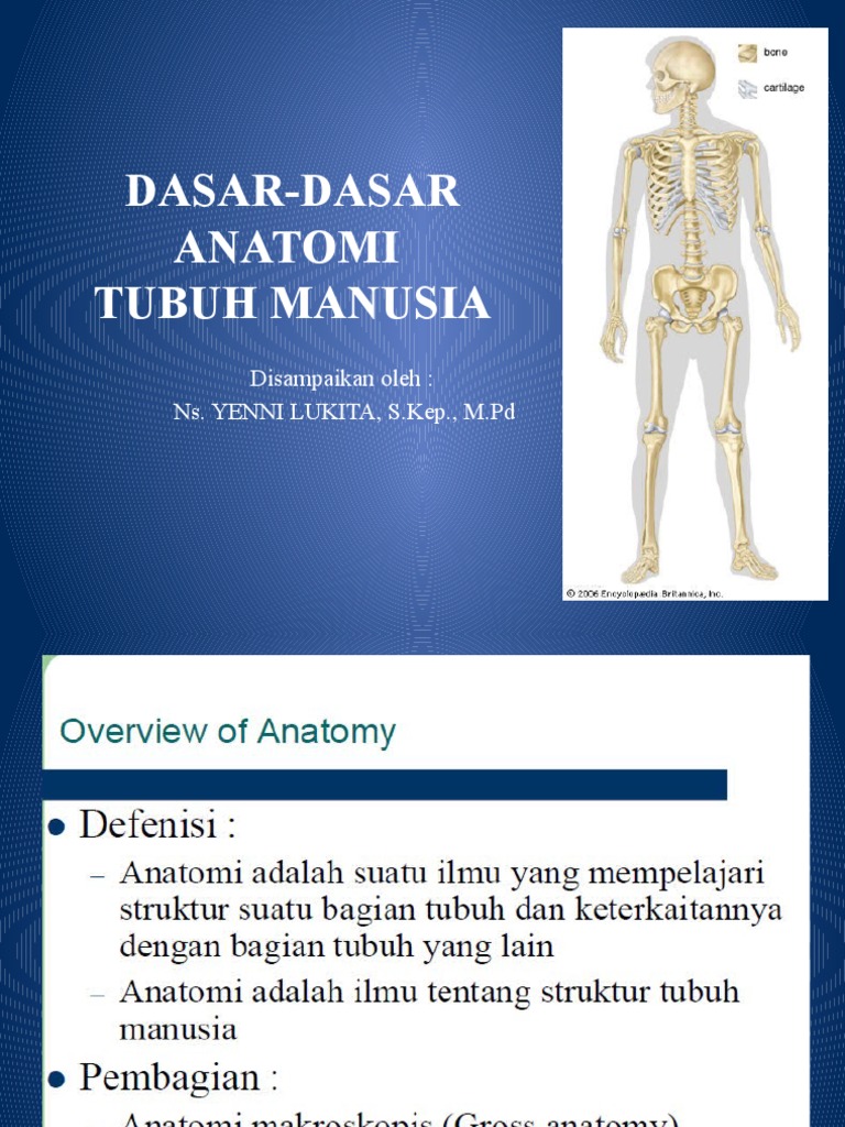 Dasar-Dasar Anatomi