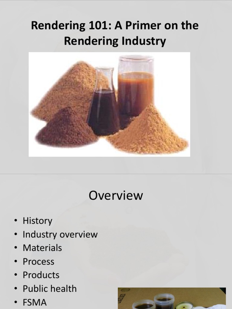 Rendering 101: A Primer On The Rendering Industry | PDF | Food And ...