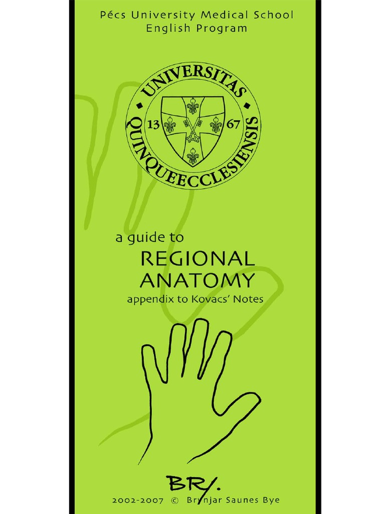 BRY's Regional Anatomy PDF | PDF