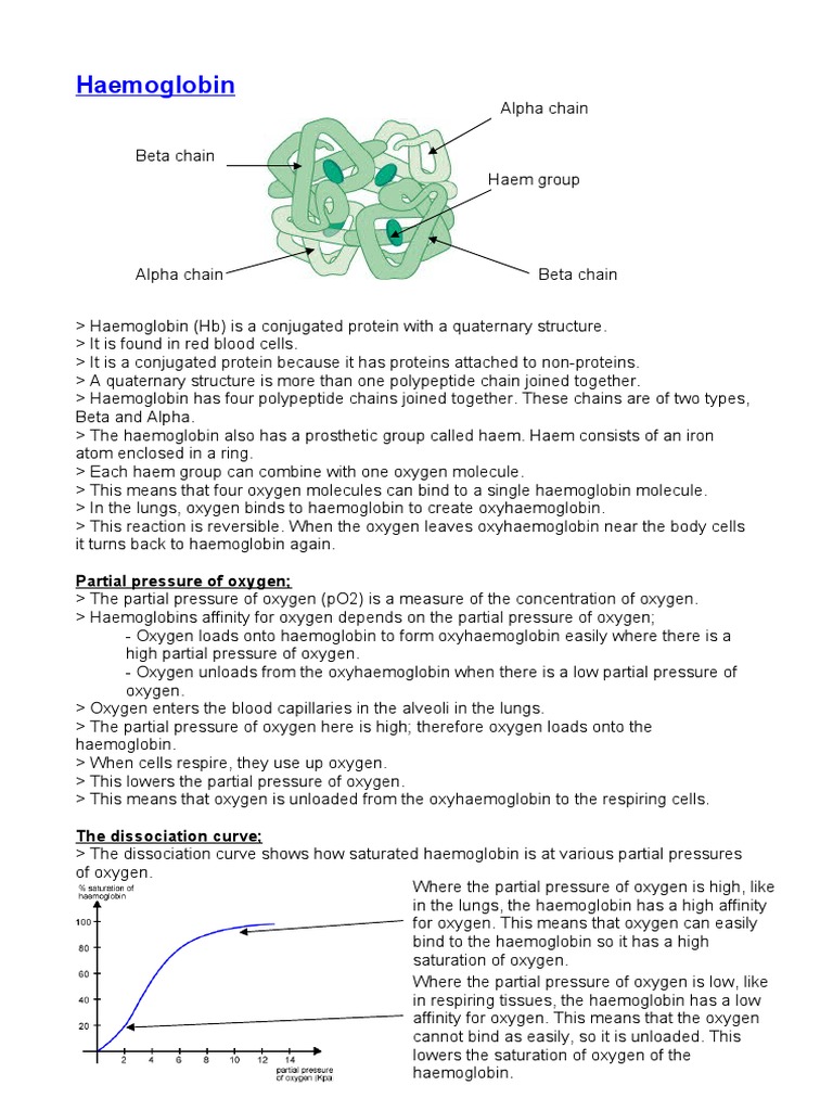 The Structure, Function and Adaptations of Hemoglobin: Exploring How ...