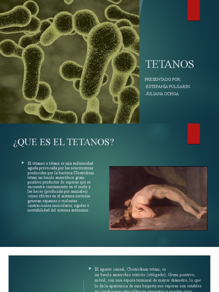 TETANOS | PDF | Enfermedades y trastornos | Ciencias de la Salud