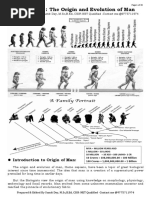 Human Evolution Timeline | PDF