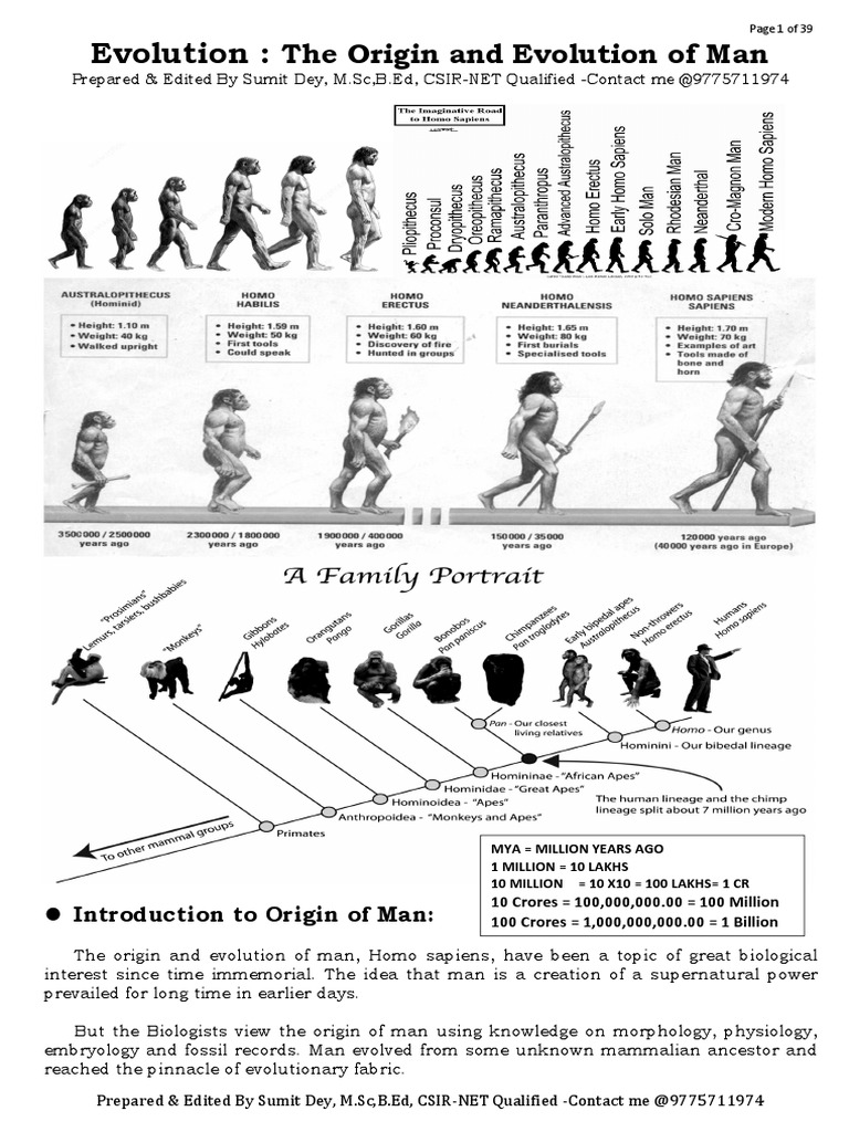 Evolution:: The Origin and Evolution of Man | PDF | Homo | Hominidae