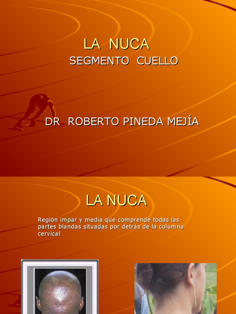 La Nuca | PDF | Sistema esquelético | Anatomía humana