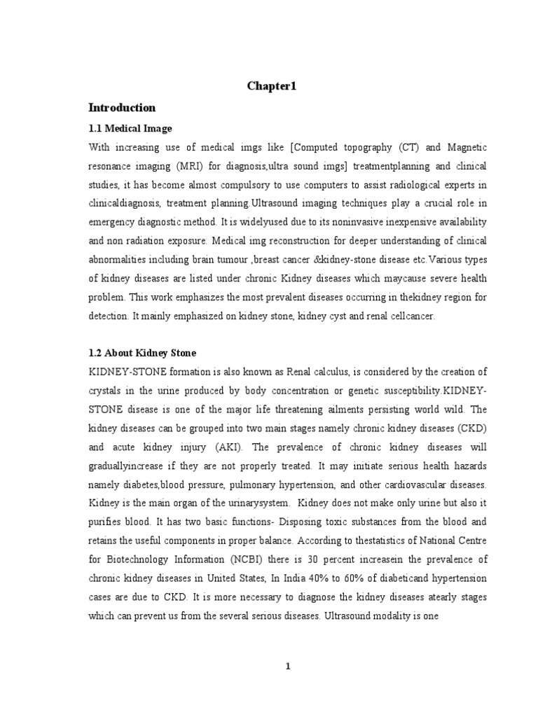 Kidney Stone Detection | PDF | Image Segmentation | Medical Imaging