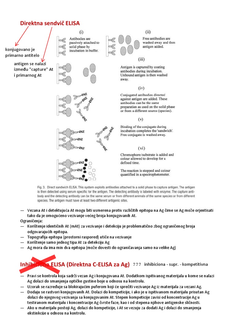 ELISA | PDF
