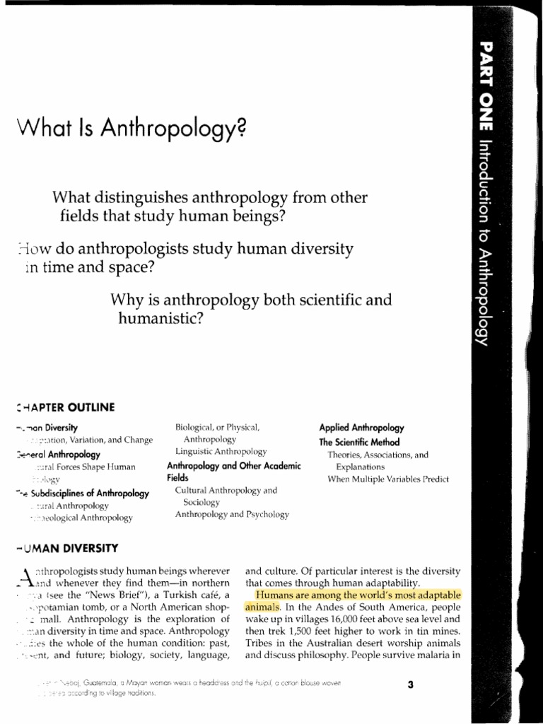 Kottak Chapter Highlighted PDF | PDF | Anthropology | Ethnography