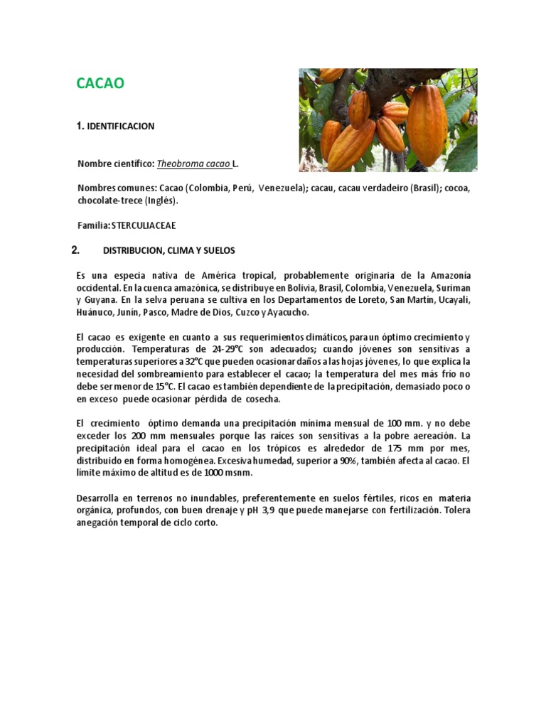Ficha Tecnica Cacao | PDF | Chocolate | Hoja Ficha Tecnica Cacao | PDF | Chocolate | Hoja