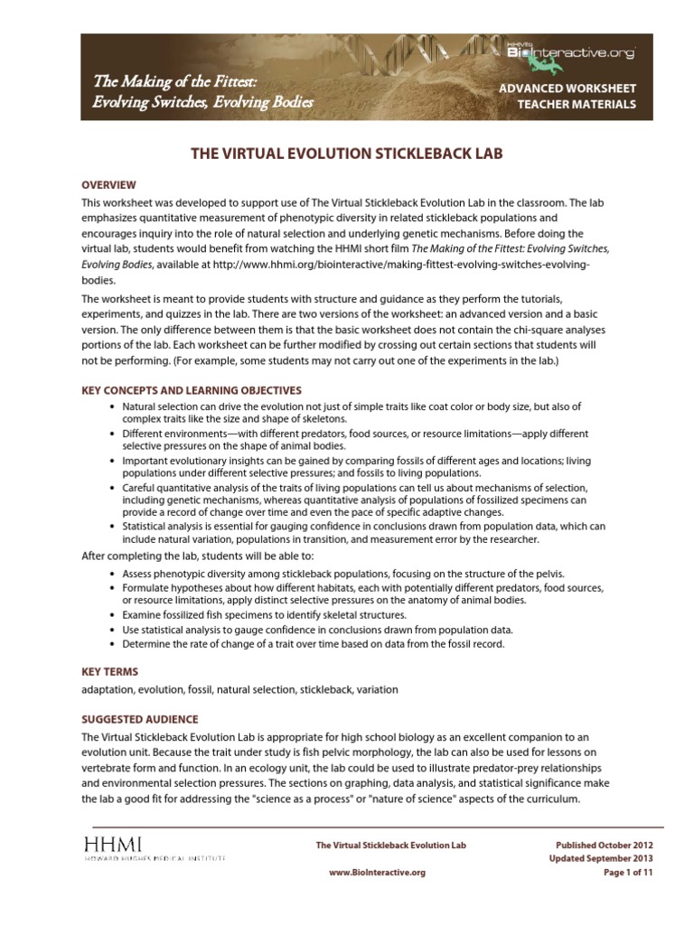 Stickleback - Advanced Lab - Teacher | PDF | Natural Selection | Evolution