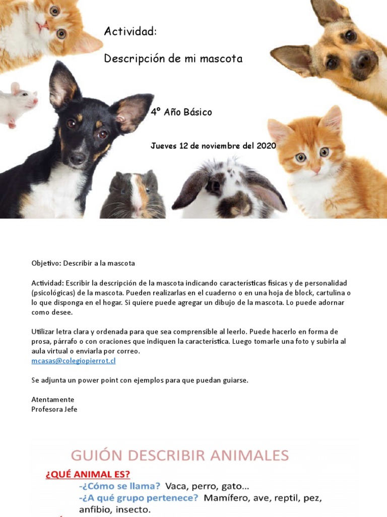 Descripción de mi mascota en 4° Básico | PDF