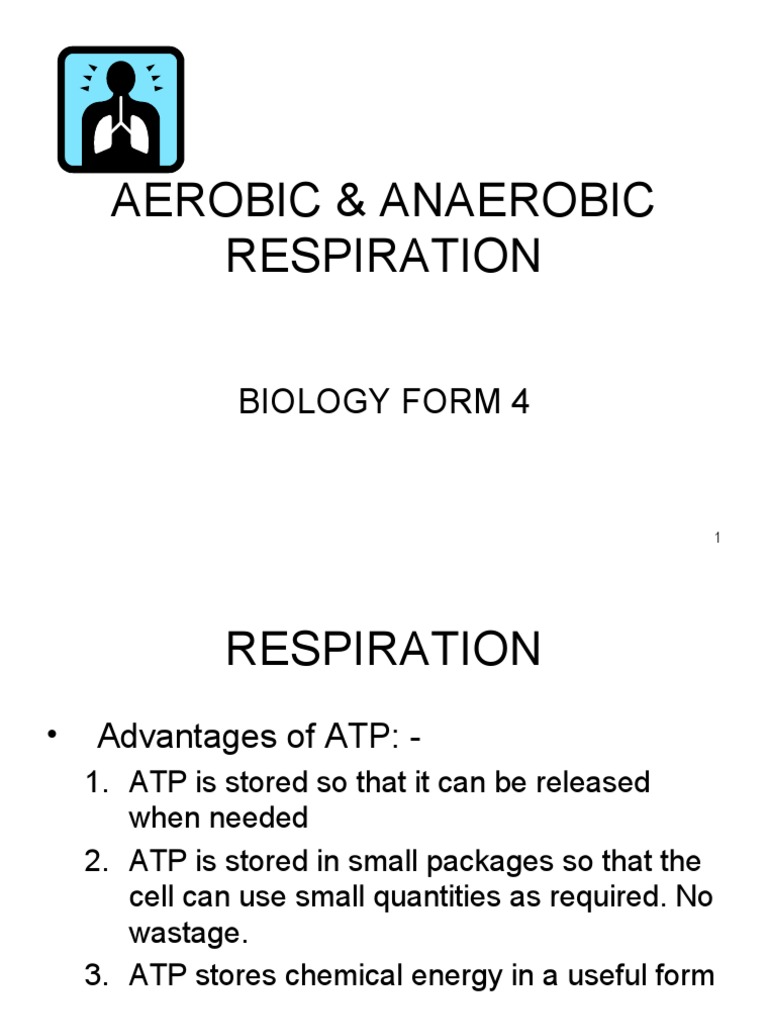 Aerobic & Anaerobic Respiration: Biology Form 4 | PDF | Lung | Chemistry