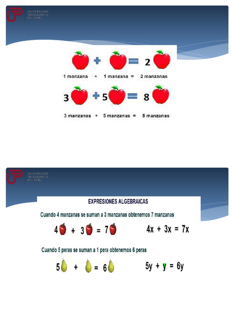 CG-Sem6-Ses11 T Alg | PDF | Polinomio | Análisis numérico