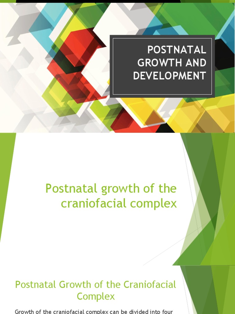 Postnatal Craniofacial Growth Overview | PDF