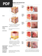 Moisture Associated Skin Damage MASD Pathway Aug 22 | PDF | Dermatitis | Causes Of Death