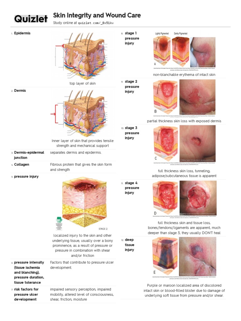 Skin Integrity and Wound Care | PDF | Wound | Skin