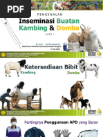 Jenis-Jenis Sapi di Indonesia | PDF