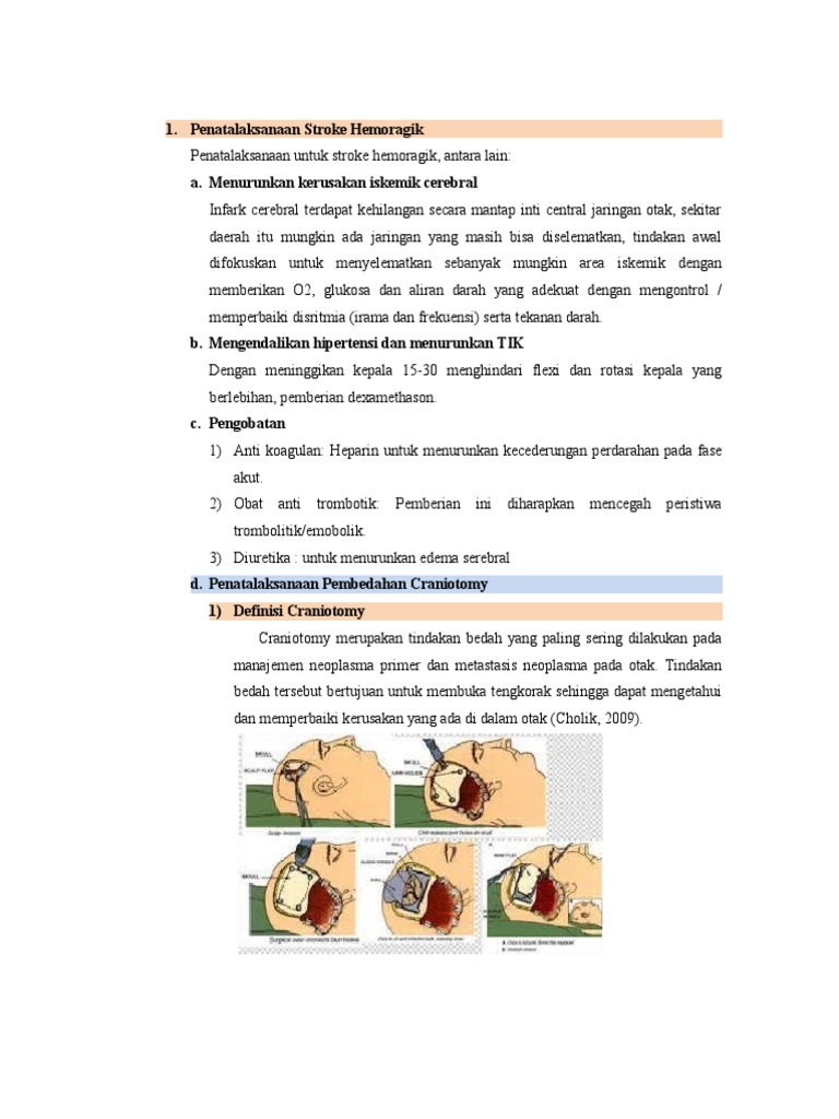 Sebelum Pathway Craniotomy | PDF