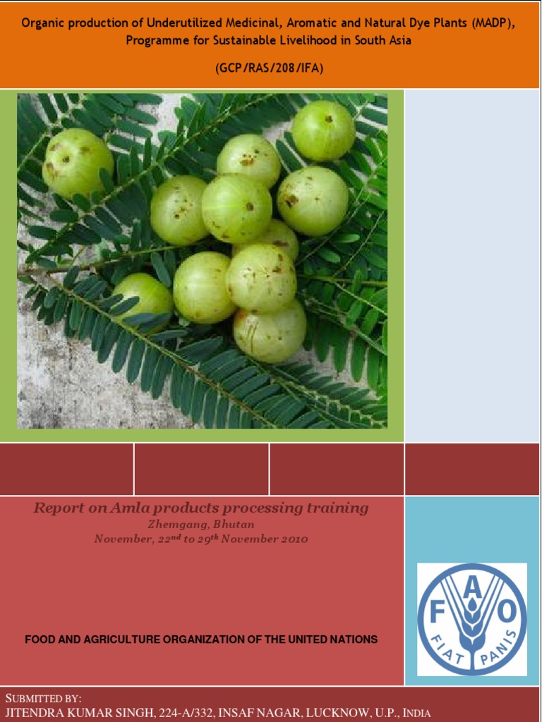 MADP Project - J K Singh - Training On Amla - Final | PDF | Food ...