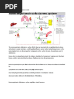 RAAS System Flowchart Overview | PDF
