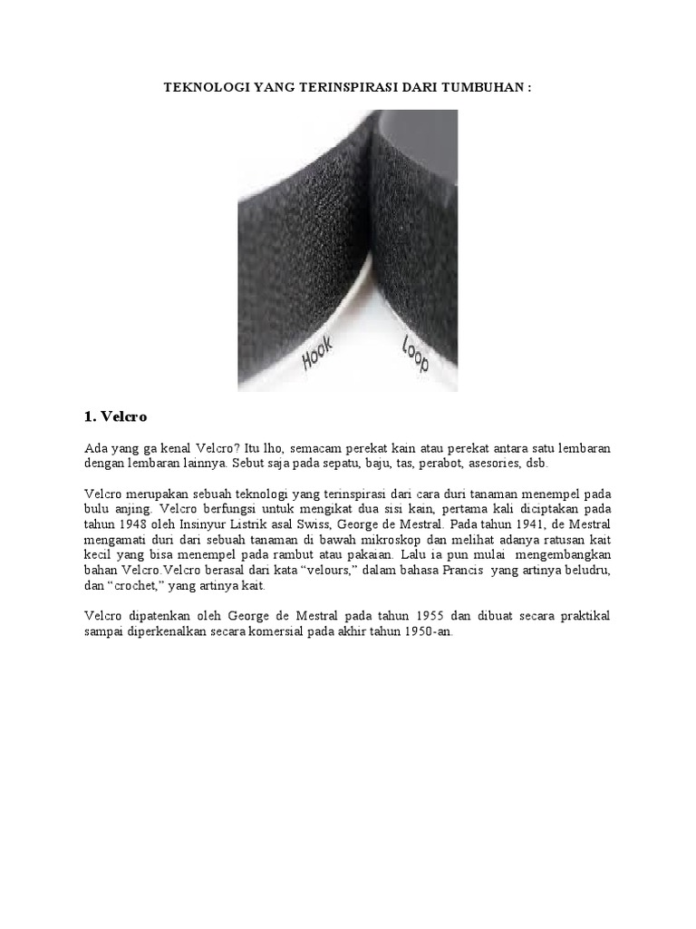 Teknologi Yang Terinspirasi Dari Tumbuhan | PDF | Griya & Taman | Sains ...