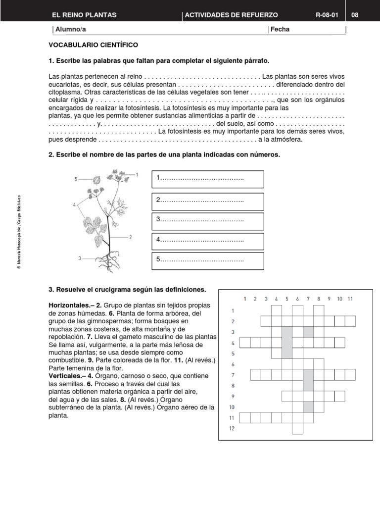 BG1 - R-08-01. Vocabulario Cientifico PDF | PDF | Plantas | Biología ...