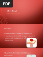Suboclusion Intestinal | PDF | Enfermedades digestivas | Gastroenterología