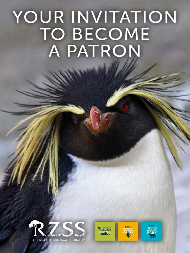 Your Invitation To Become A Patron | PDF | Payments | Debit Card