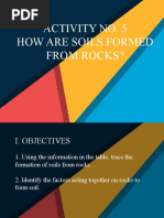 Observation of Mongo | PDF