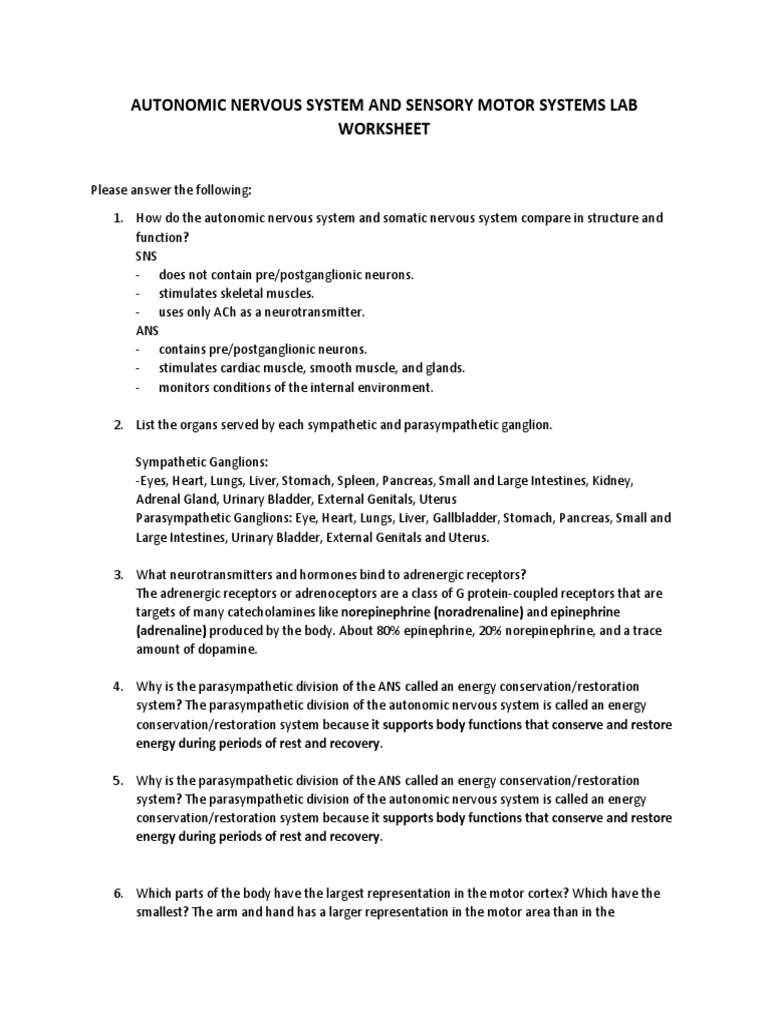 Autonomic Nervous System and Sensory Motor Systems Lab Worksheet | PDF