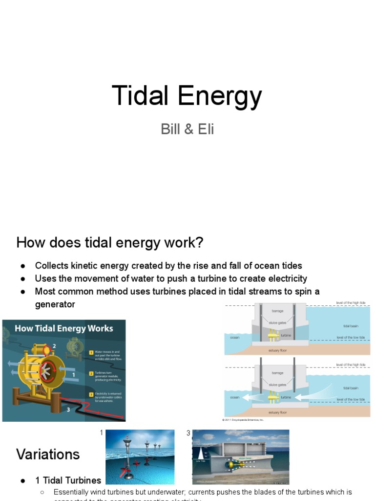 Tidal Presentation | PDF | Tide | Alternative Energy