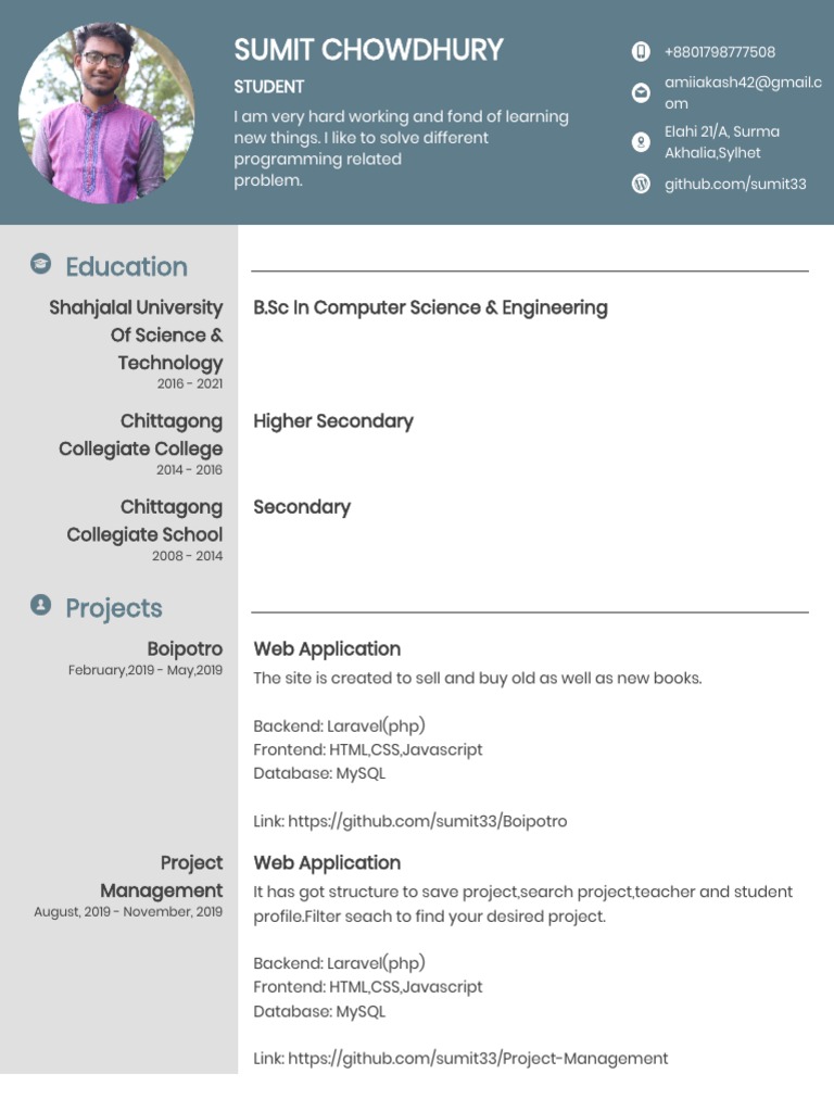 CV PDF | PDF | Web Application | Application Software