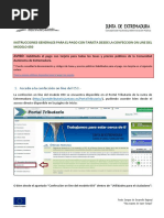 Carta Pago Modelo 909 | PDF