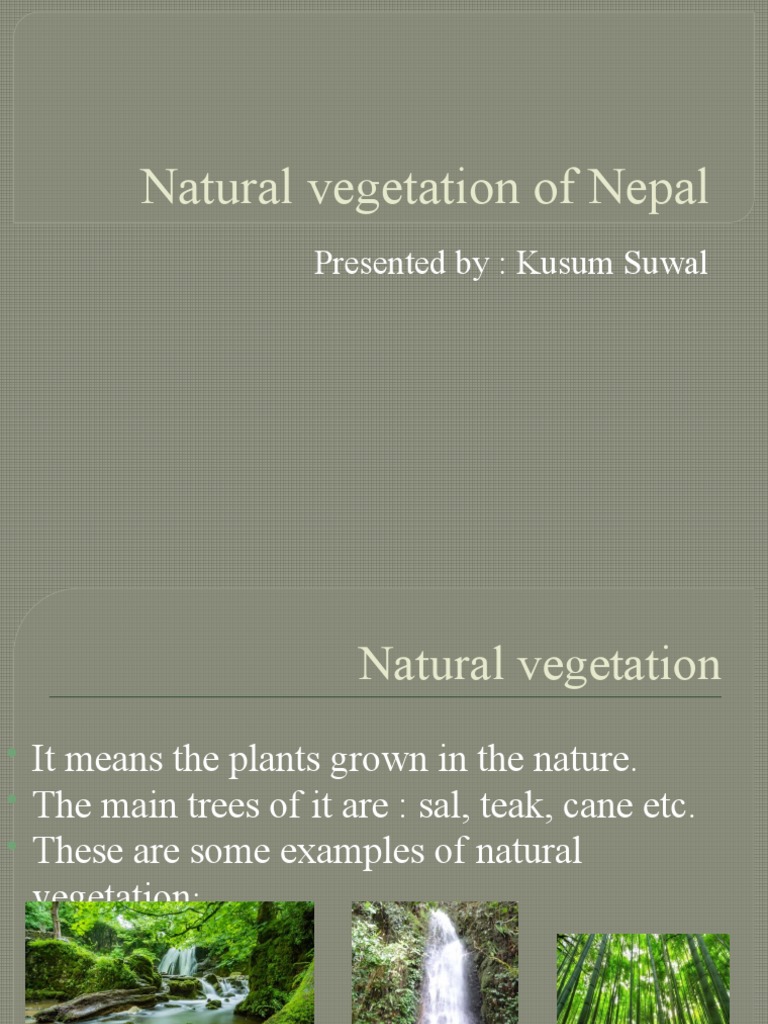 Natural Vegetation of Nepal Explained | PDF | Science & Mathematics