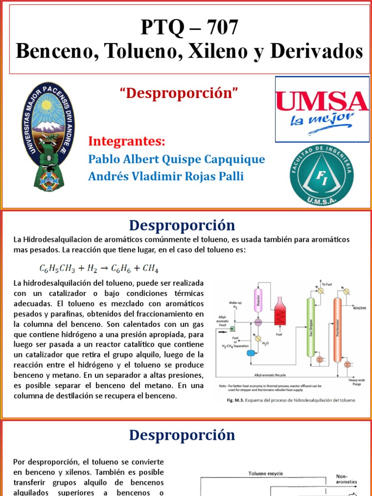 Exposicion DESPROPORCION 2 | PDF