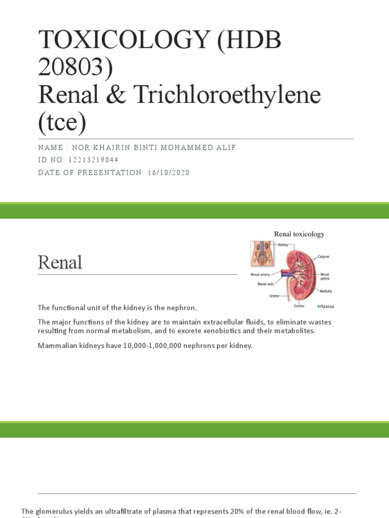 Toxicology (HDB 20803) | PDF