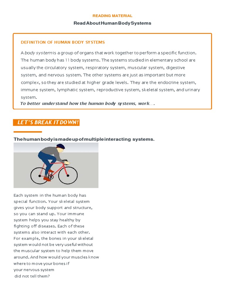 Let'S Break It Down!: Read About Human Body Systems | PDF | Human Body ...
