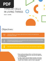 Cell Riddles Answer Key | PDF | Cell (Biology) | Endoplasmic Reticulum