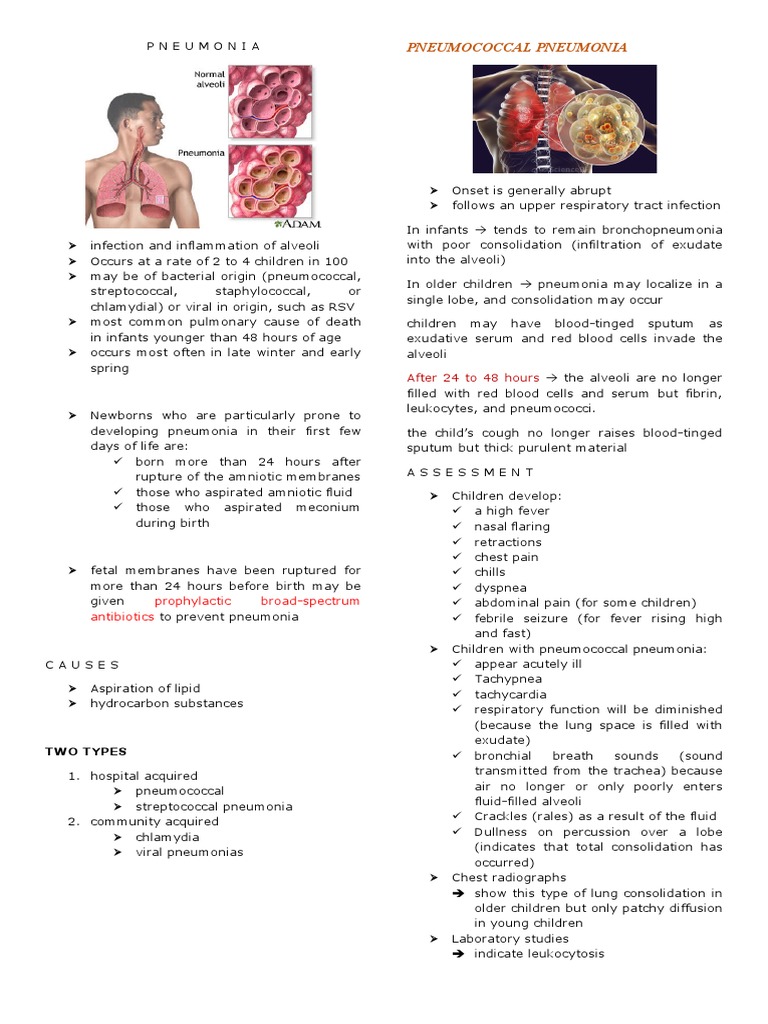 Pneumococcal Pneumonia Prophylactic Broad Spectrum Antibiotics Pdf