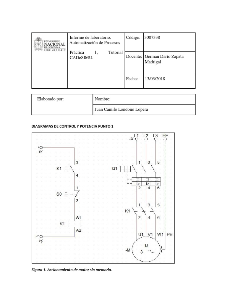 Informe Tutorial CADeSIMU | PDF