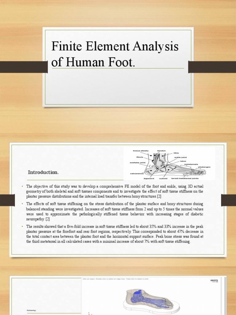 Finite Element Modeling of Foot (Previous Work) | PDF | Soft Tissue | Foot