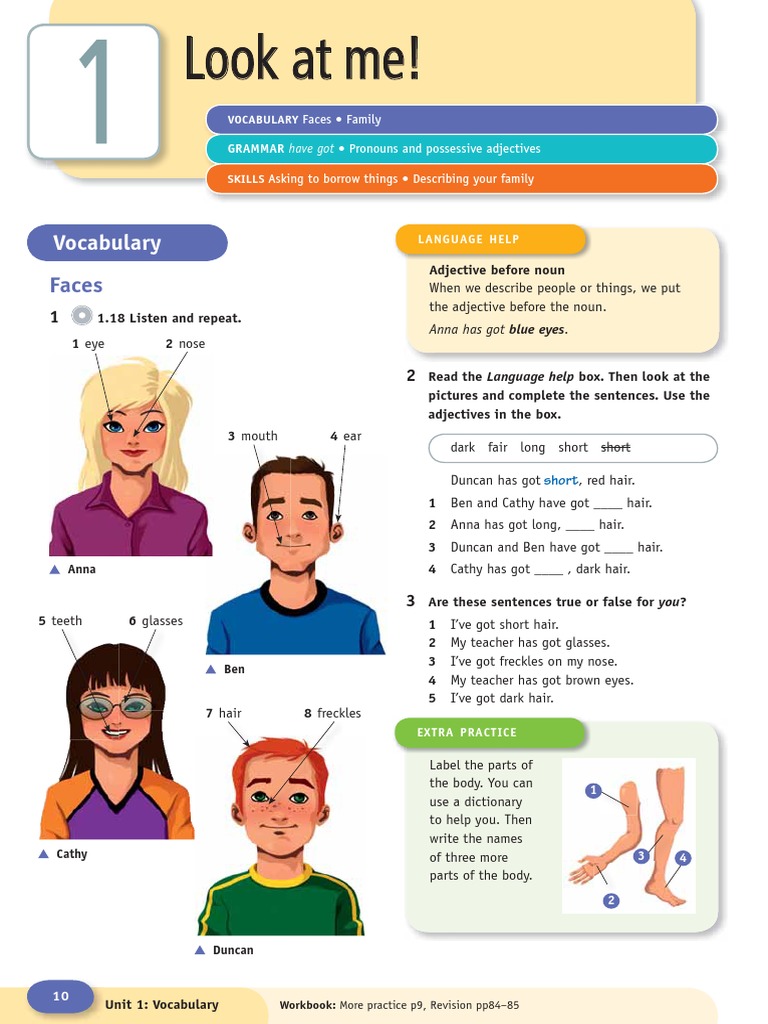 Temas 2 y 3 | PDF | Family | Society