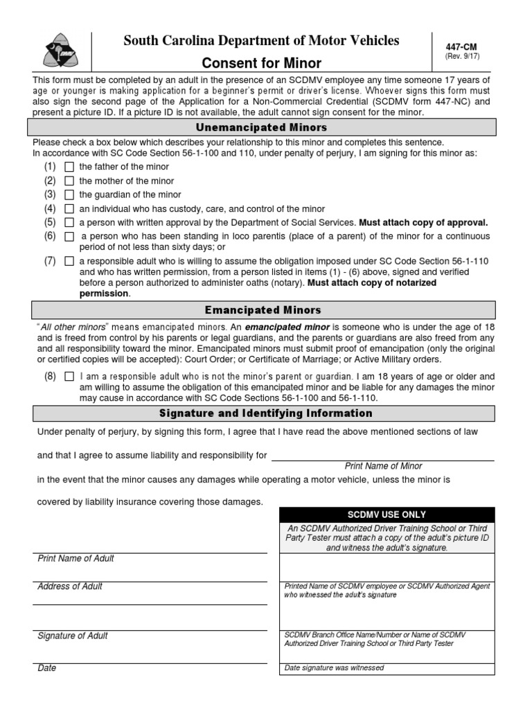 South Carolina Department of Motor Vehicles Consent For Minor | PDF ...