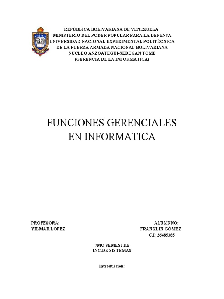 Funciones de Gerencia en Informática | PDF | Negocios