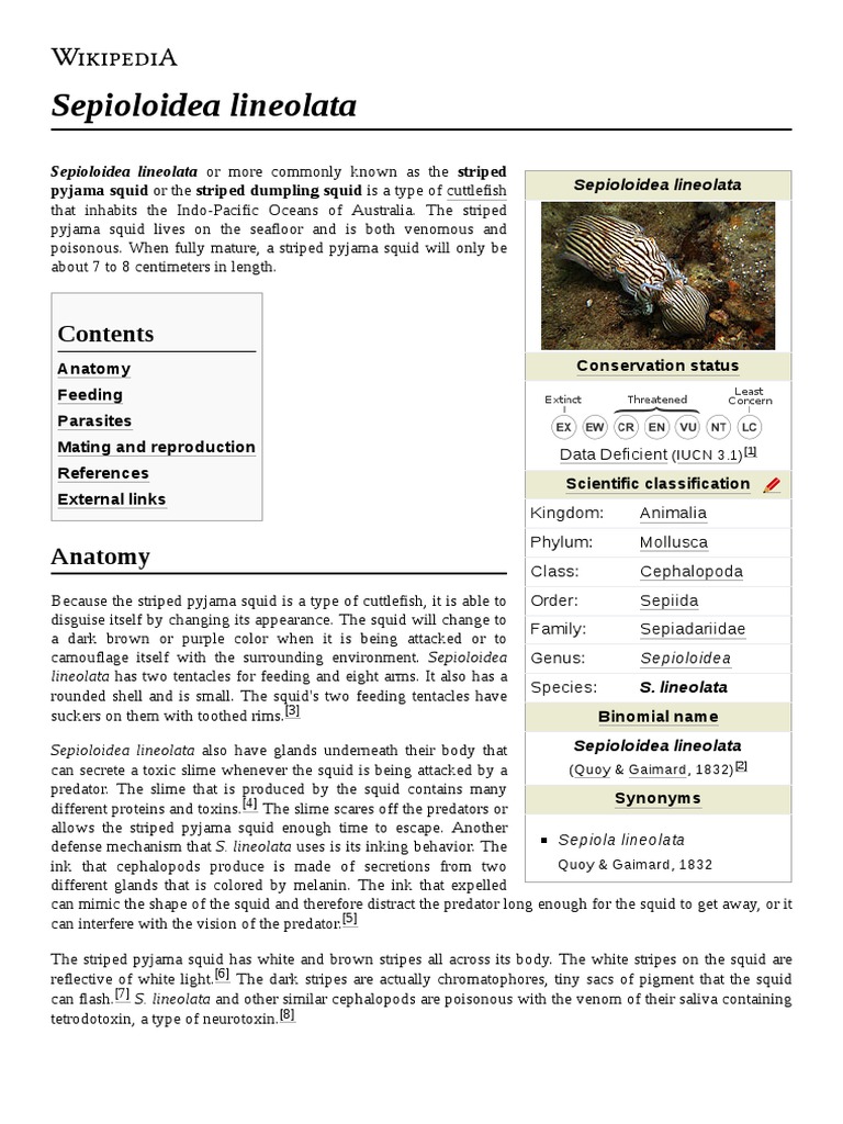 Sepioloidea Lineolata PDF | PDF | Organisms | Science