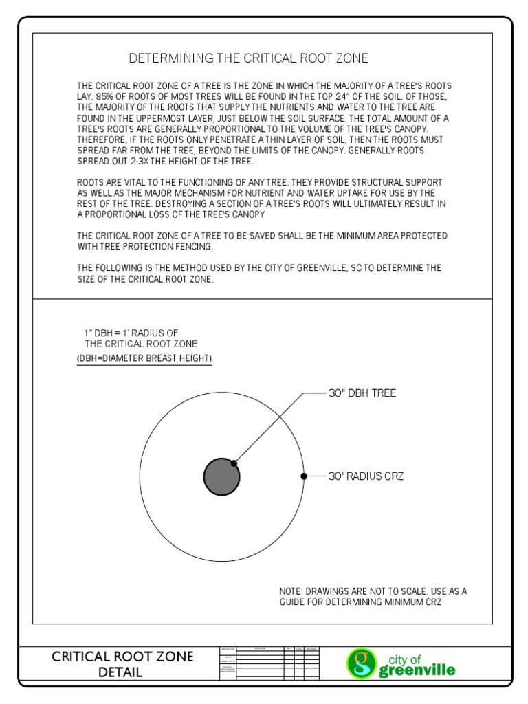 Tree Protection Detail Critical Root Zone (PDF) - 201502021356231323 ...