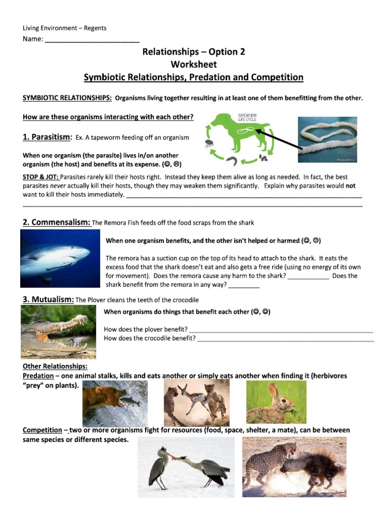 Symbiotic Relationships Predation and Competition Packet | PDF